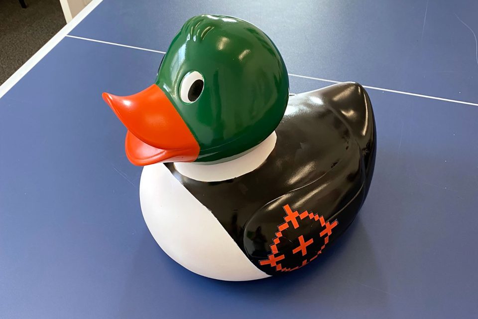 MedEquip4Kids Duck Race 2022 | Cultivate